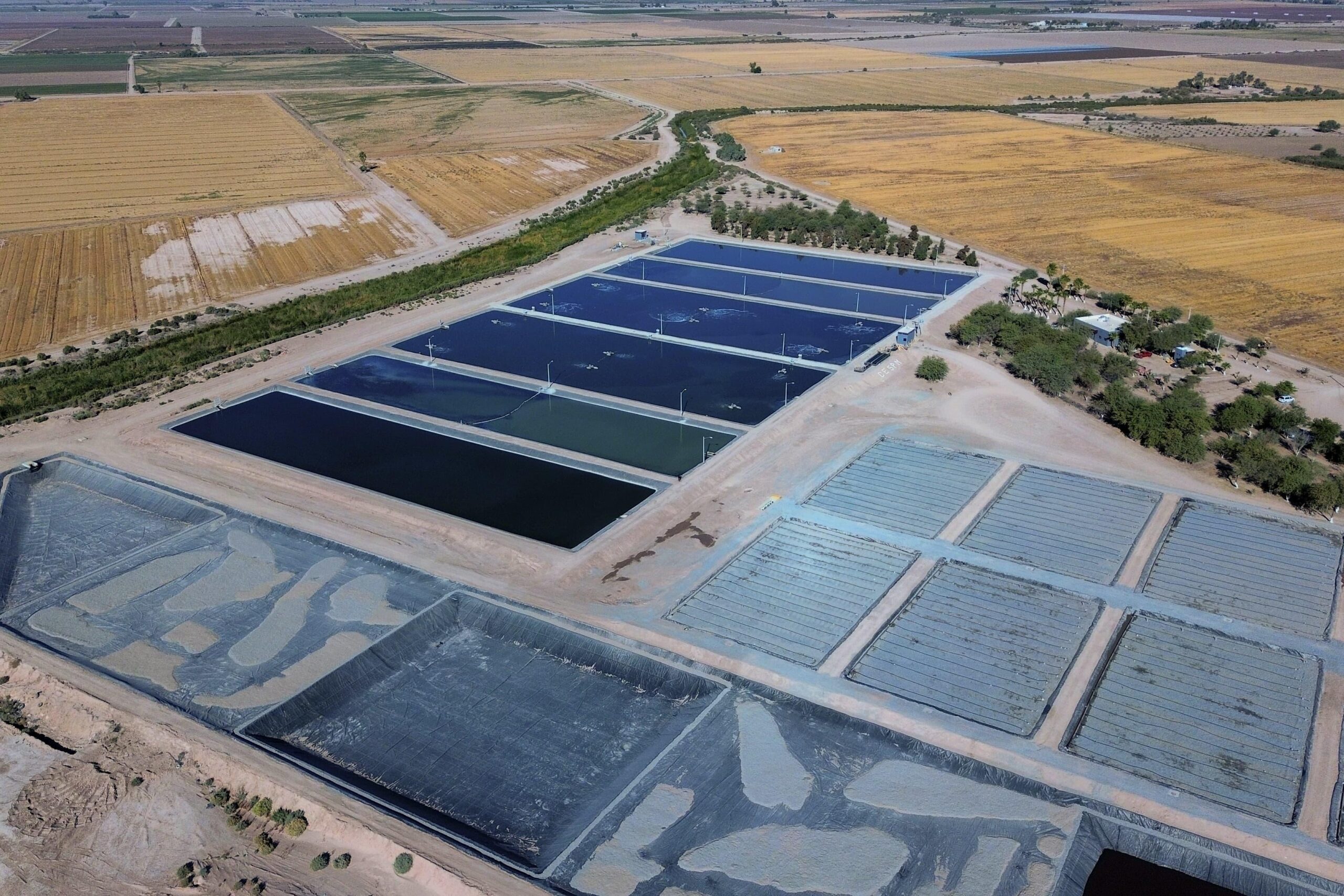 HUMEDAL ARTIFICIAL EN GUADALUPE VICTORIA DEL VALLE DE MEXICALI ...